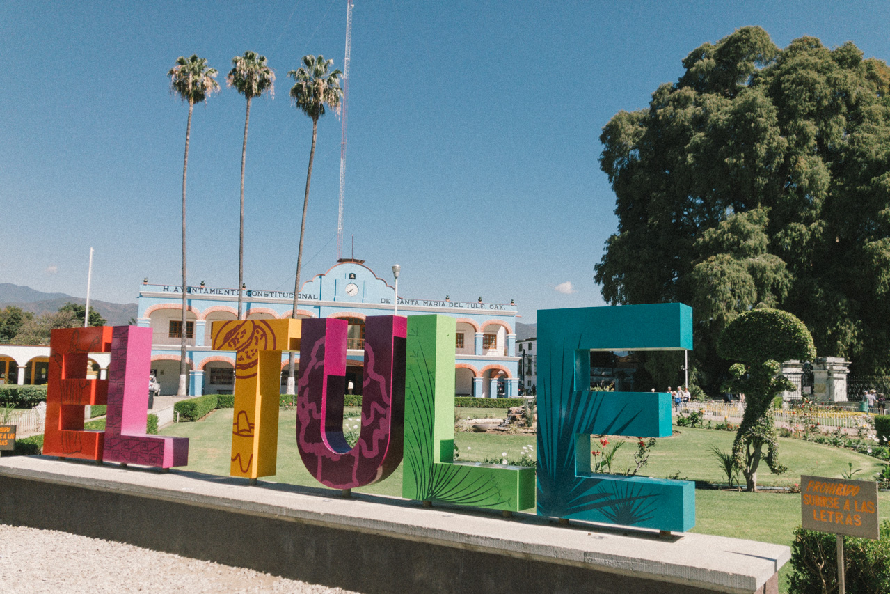 El Tule: Arbol del Tule ~ Stoutest Trunk｜エルトゥーレ：トゥーレの木〜世界で一番太い木 - 世界23周 ...